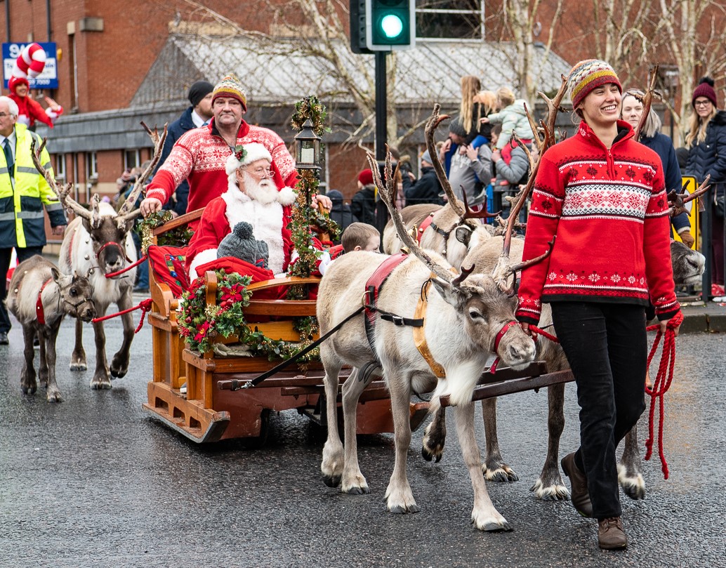 About Us – Christmas Reindeer